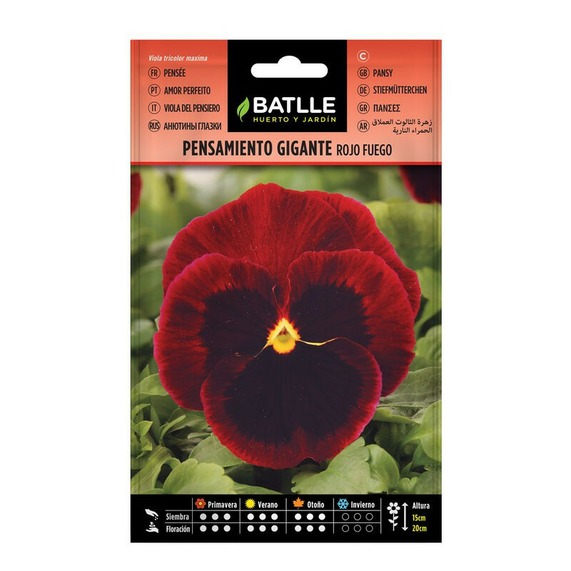 Giant Thinking Fire Red