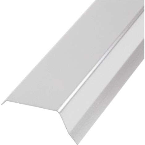 DAPRONA Dachblech Ortgangblech Giebelblech, 2m Silber Dacheindeckung ...
