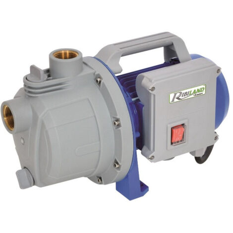 Pompa autoadescante per acqua di superficie da 400 W