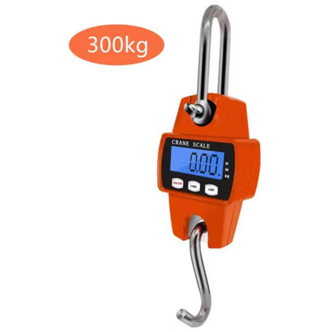 Balance Crochet Suspendu 300kg - Peson Electronique LCD Industriel ...