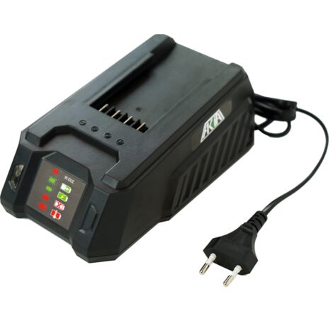Batteria caricabatteria 40V