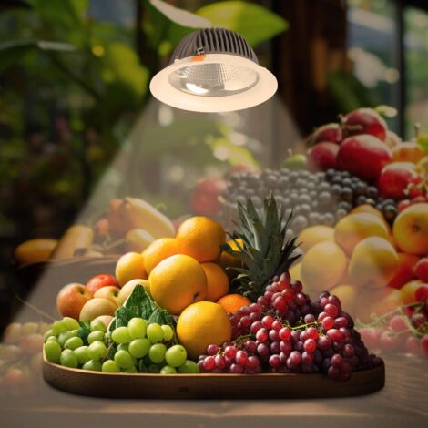 Downlight LED spécial pour fruits et légumes - 40W - Driver