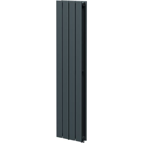 Hudson Anthracite 1200mm x 300mm Double Panel Radiator