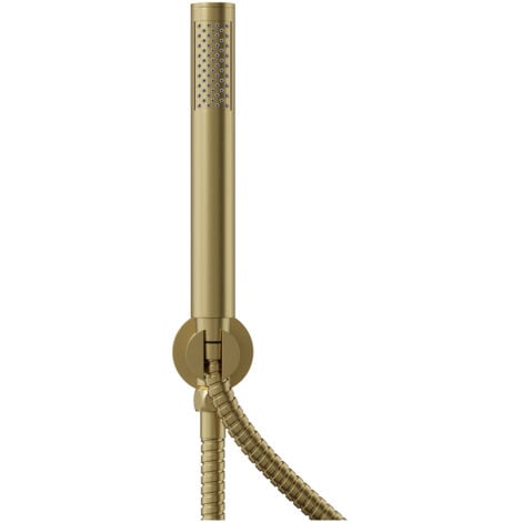 Colore Round Brushed Brass Shower Outlet Holder and Kit