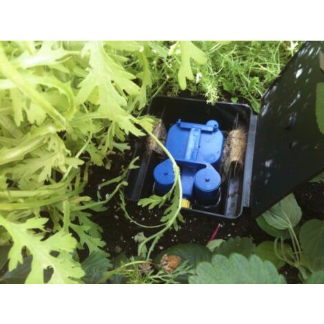 Automatic Plant Watering System Aquabox