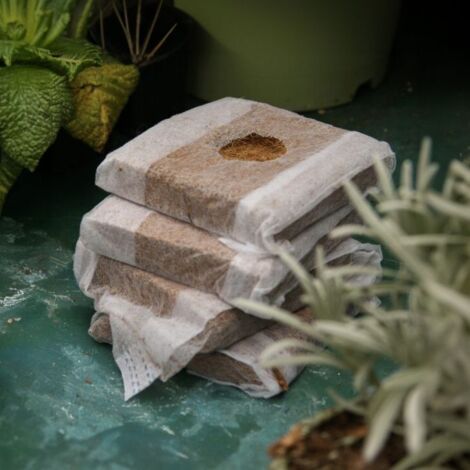 Pack of 30 Coir Grow Cubes 10 x 10cm