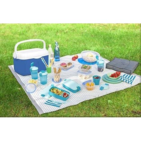 Curver Nevera portátil con asa, Ideal para camping, playa, picnic ...