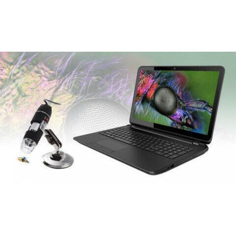 Media-Tech USB 500X MT4096 Microscopio digital