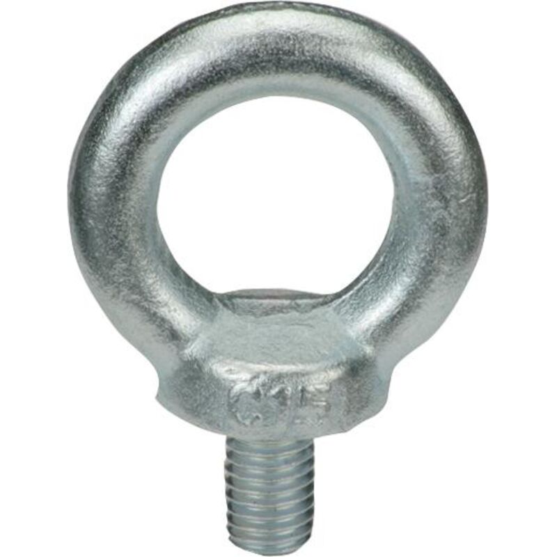 DIN 580 C15E galZn M24 HP VE 10