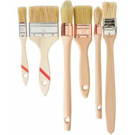 SET MIT 6 PROFESSIONELLEN PINSELN