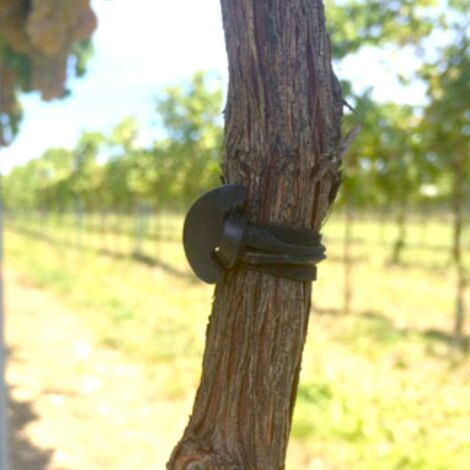 Legacci elastici in EDPM per tutti i tipi di piante confezione 500 gr ...