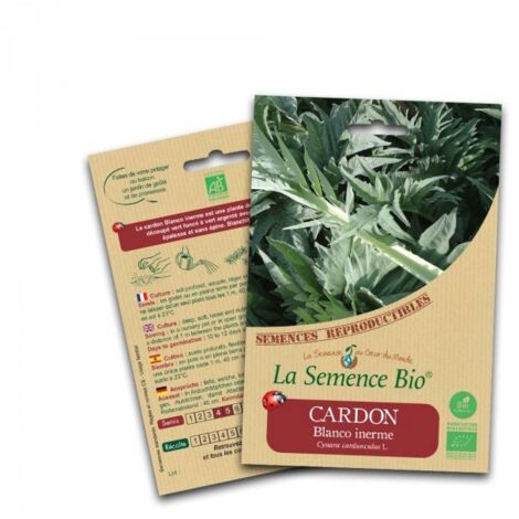 La semence Bio - Carbon blanco inerme