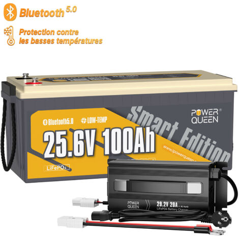 Batterie Lithium 24V100Ah 2560Wh Bluetooth LiFePO4+29,2V 20A Chargeur ...