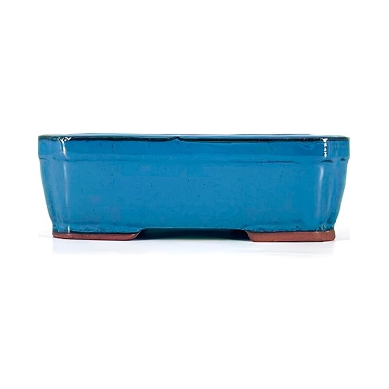 Maceta Tiesto Bonsai Esmaltado Calidad Yixing 19 X 13 5 X 6 5 Cm
