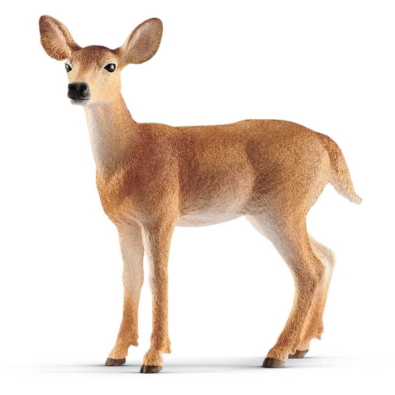 Schleich Wild Life Biche à queue blanche