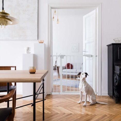 Barrière de porte rétractable sans perçage