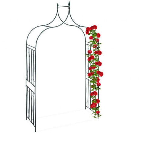 Arc de roses avec decor