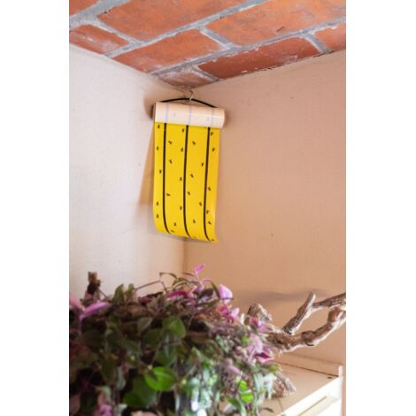Knock off fly roll jaune 7 m