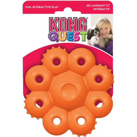 Kong quest star pods petit