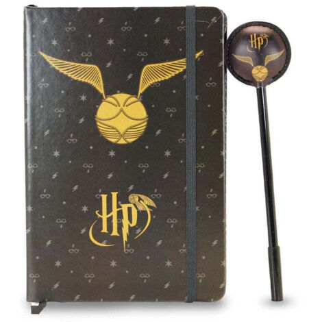 Harry Potter Diary Set with Wings and Pen