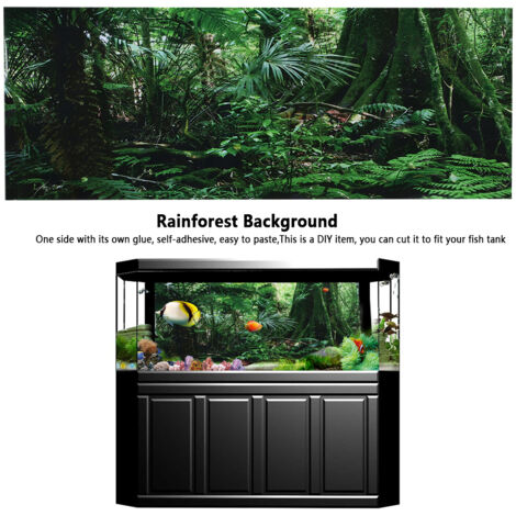 Affiche de fond de forêt tropicale en PVC pour boîte à reptiles ...