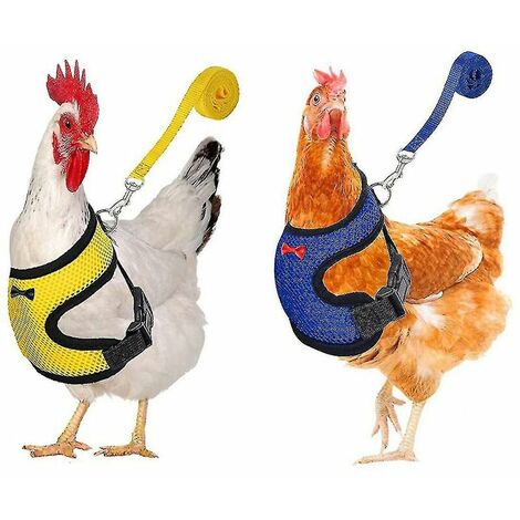2-piece chicken harness and leash, modified adjustable breathable ...