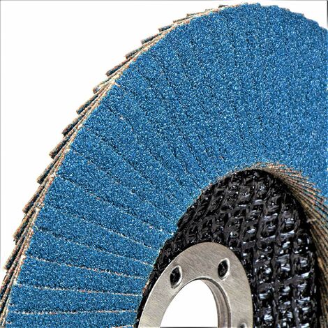 Compartiments Disques │ bleu │ 10 pièces │ Ø 125 mm │ grain 80 │ Inox ...