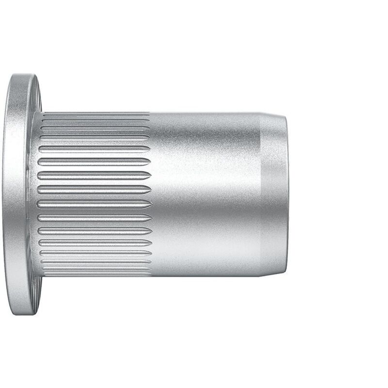 BOITE DE 200 RIVETS ROSC C/V GREFFES M8x21