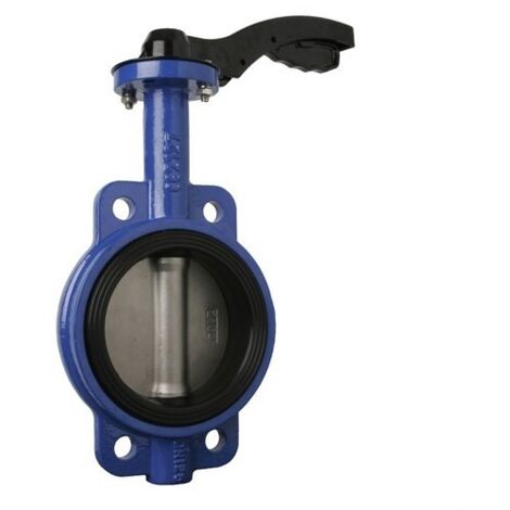 VANNE PAPILLON 50 LEVIER INOX 900