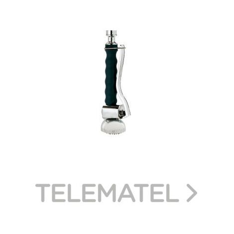 Mango Shower Chef 96273 Intelligent