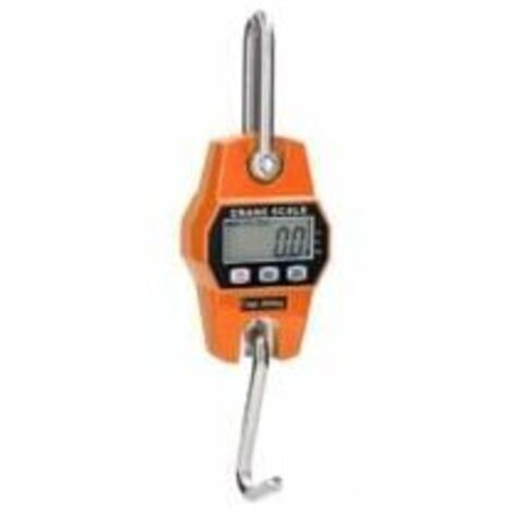 Balance à crochet, 300 kg