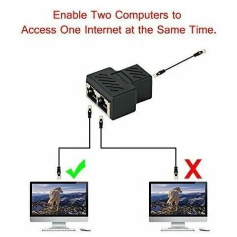 RJ45 Splitter Connecteurs Adaptateur 1 à 2 Ethernet Splitter Coupleur ...