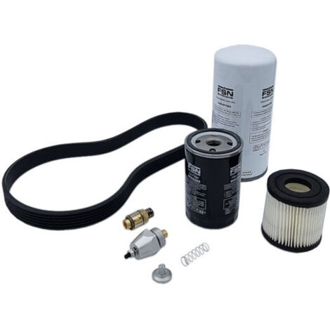 Kit entretien compresseur Sirio 8/10 maintenance 8000h pièces origine ...