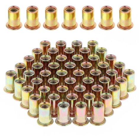 ZVD-100 Pièces Écrou à Rivet M8 Fileté à Tête Plate, Écrous à Riveter ...