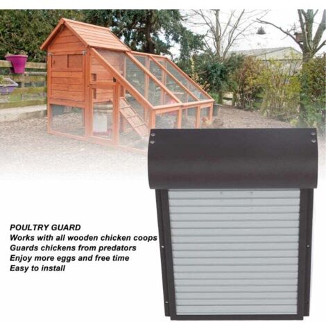 Automatic Chicken Coop Door Solar Powered Metal Rolling Curtain Chicken ...