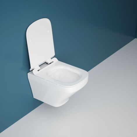 Durovin Bathrooms Ceramic Wall Hung Toilet - D Shape - Rimless ...