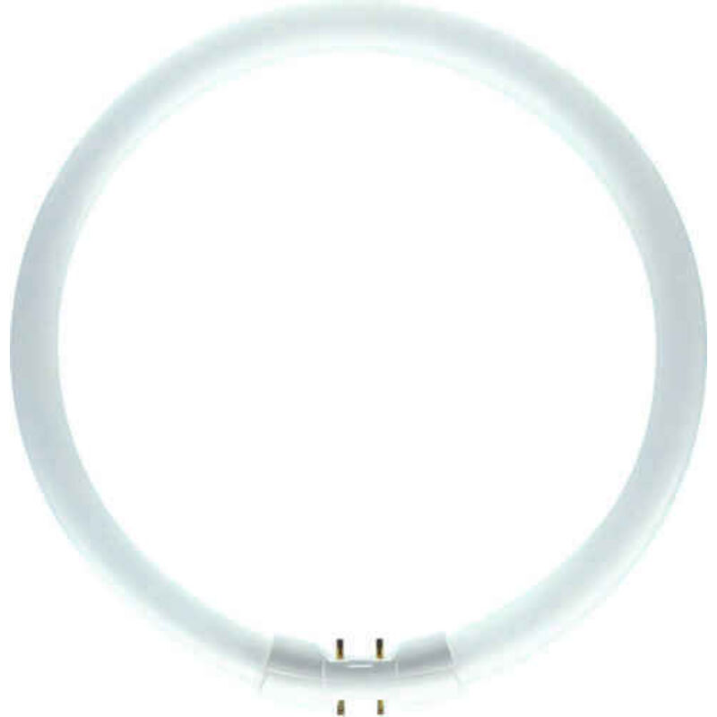 PHILIPS MASTER TL5 CIRCULAR 60W/840 1CT/10 Neutralweiß, Ringlampe mit Ø ...