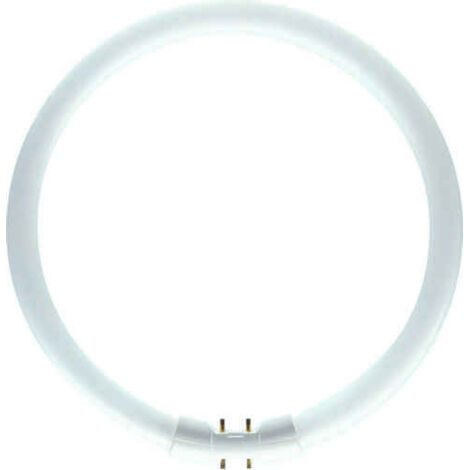 PHILIPS MASTER TL5 CIRCULAR 60W/840 1CT/10 Neutralweiß, Ringlampe mit Ø ...