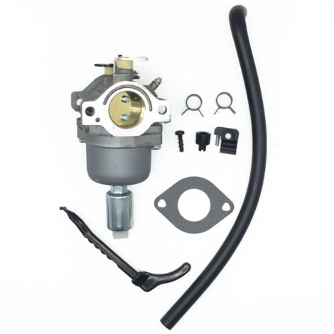 Carburateur pour Moteurs Briggs & Stratton 287707 287776 287777 310707 ...