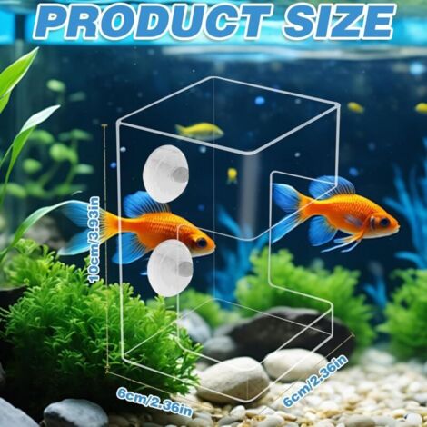 Mangeoire pour Poissons d'aquarium avec Ventouse, Tube d'alimentation ...