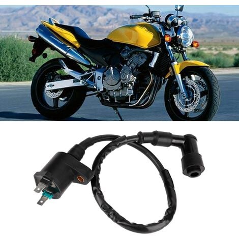 Ej.Life Bobine D'allumage de moto, bobine d'allumage de moteur d'ABS adaptée pour 50CC 150CC ...