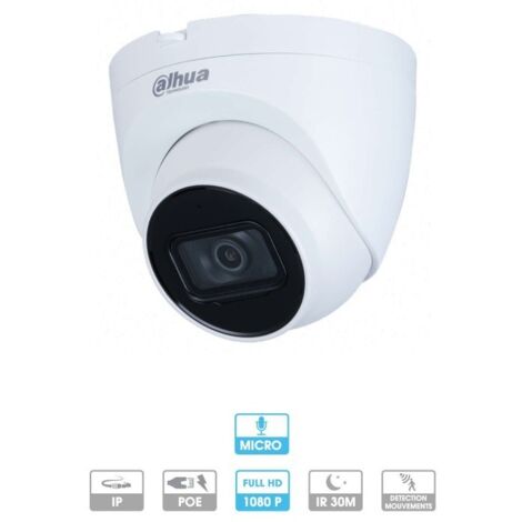Dahua mini caméra dôme 2mp ip poe
