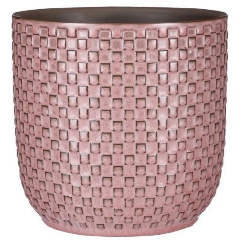 Pot relief roze D13,5 en pot. Plante verte type Pot relief roze D13,5 ...