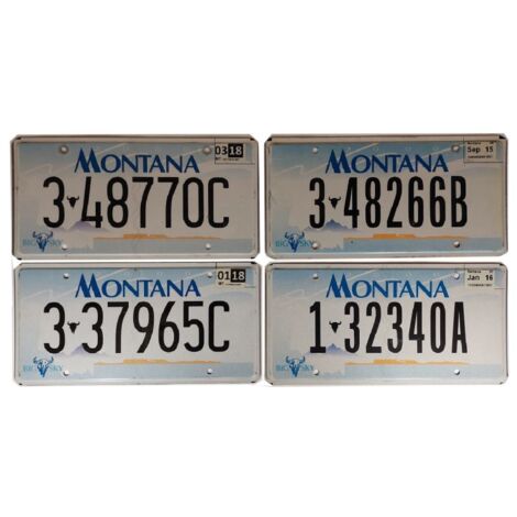 MONTANA (V1) : Plaque immatriculation US 30x15cm plate