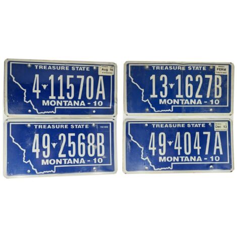 MONTANA (V3) : Plaque immatriculation US 30x15cm plate