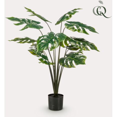Monstera Deliciosa en pot. Plante verte type Monstera Deliciosa, livrée ...