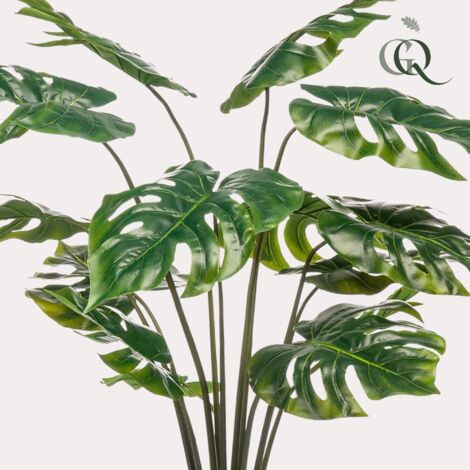 Monstera Deliciosa en pot. Plante verte type Monstera Deliciosa, livrée ...