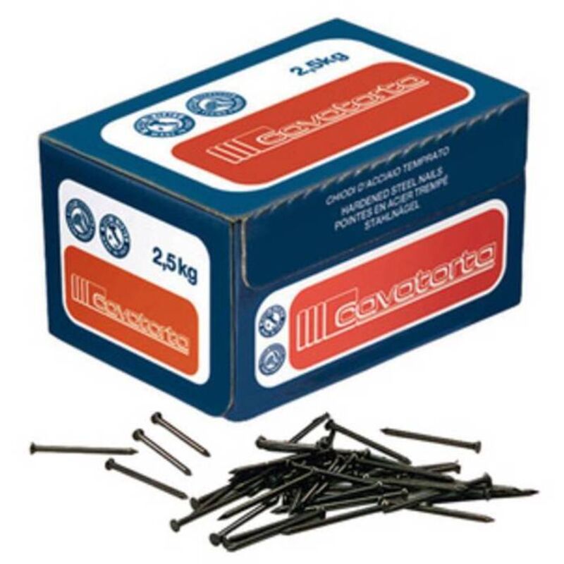 2 x clous en acier cavatorta cm.6