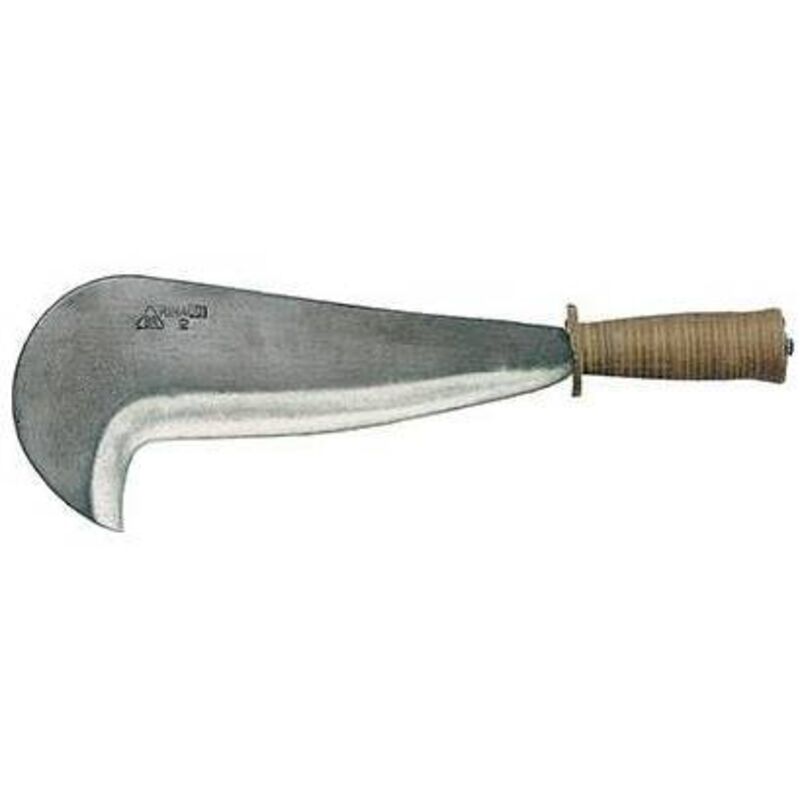 RONCOLA MARACCIO MAREMMA 117 RINALDI