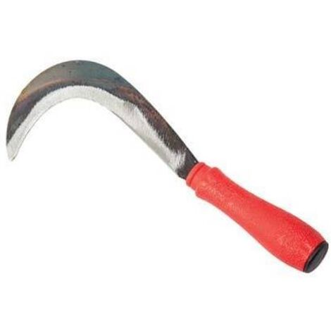 RONCOLINA X ORTAGGI FALCI